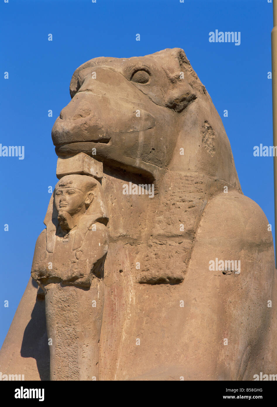 Ram headed statues ancient egypt hi-res stock photography and images ...