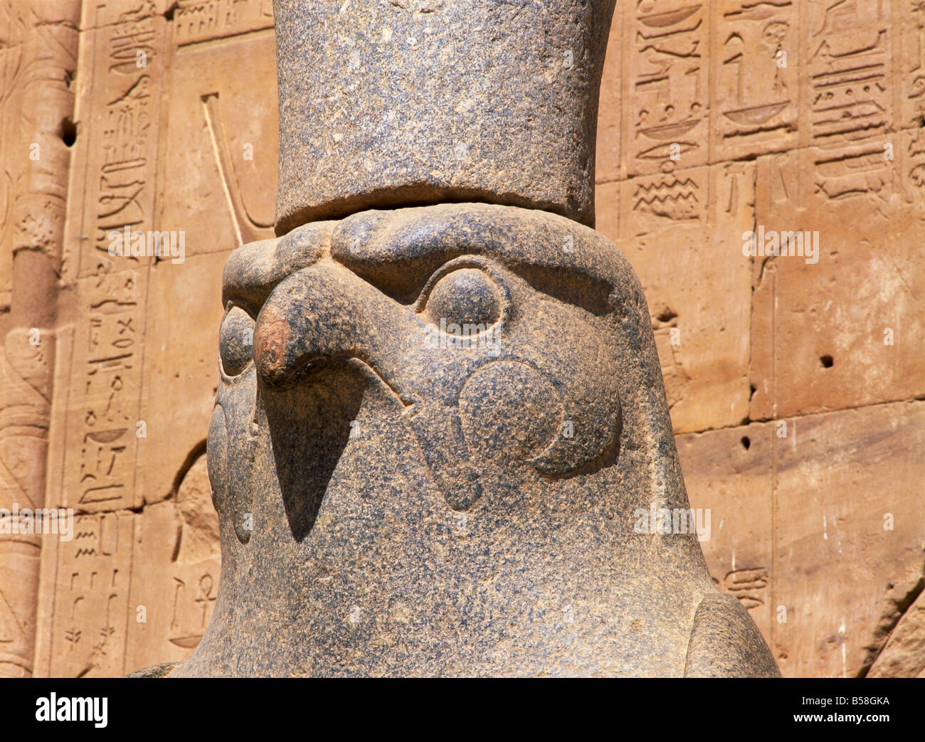 Close up of the statue of Horus the falcon god at the Temple of Horus ...