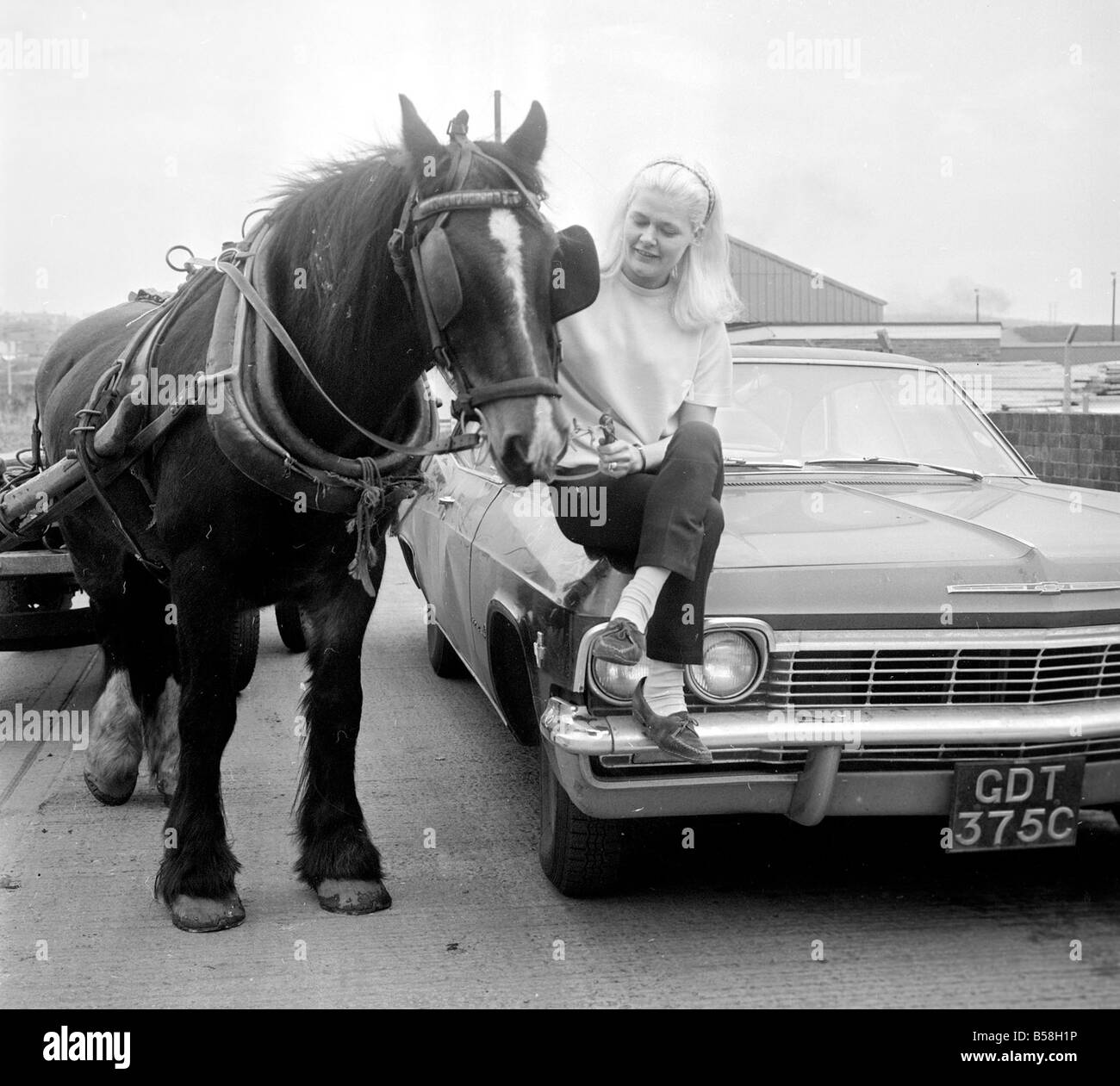 Viv nicholson hi-res stock photography and images - Alamy