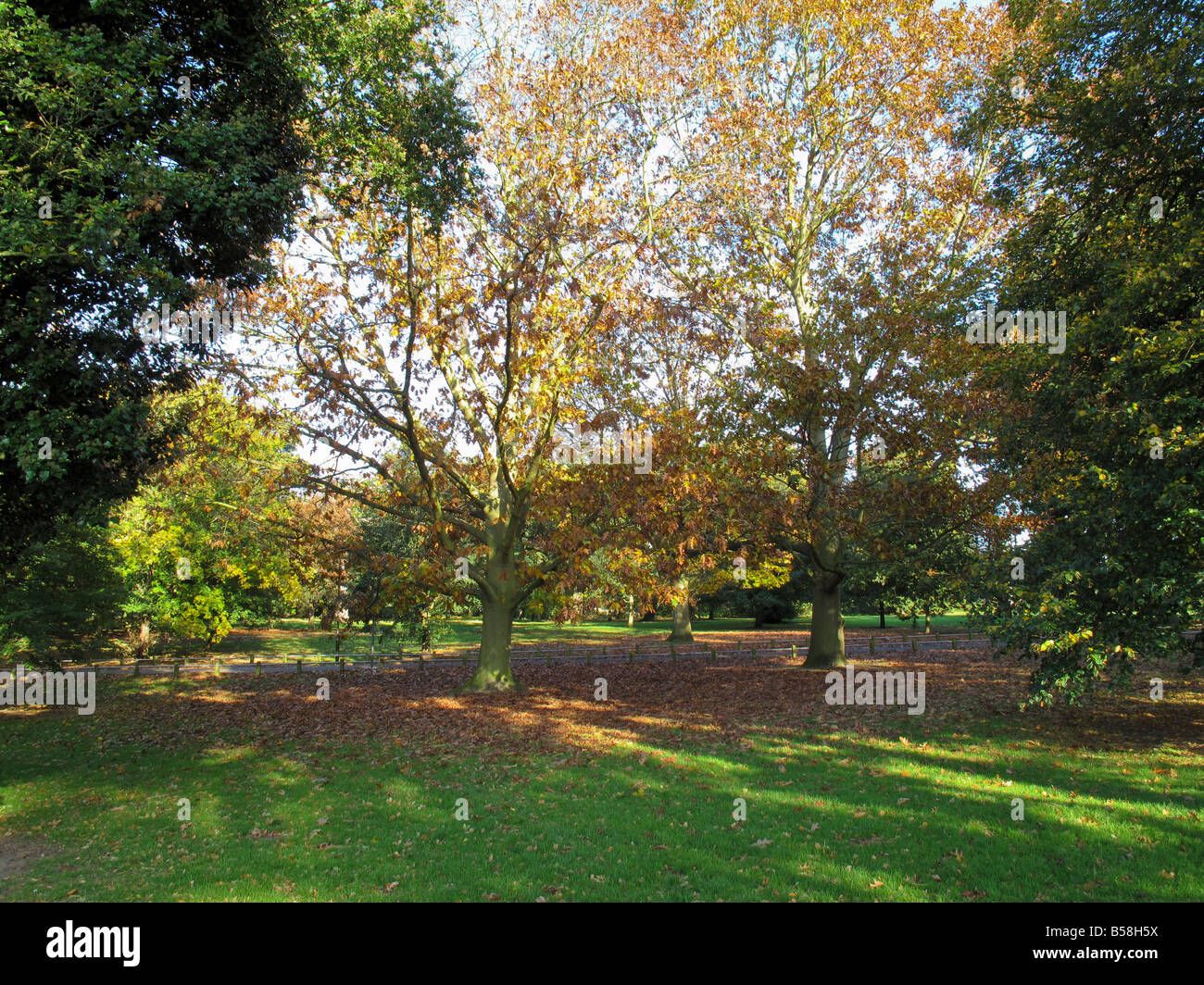 Earlham hi-res stock photography and images - Alamy