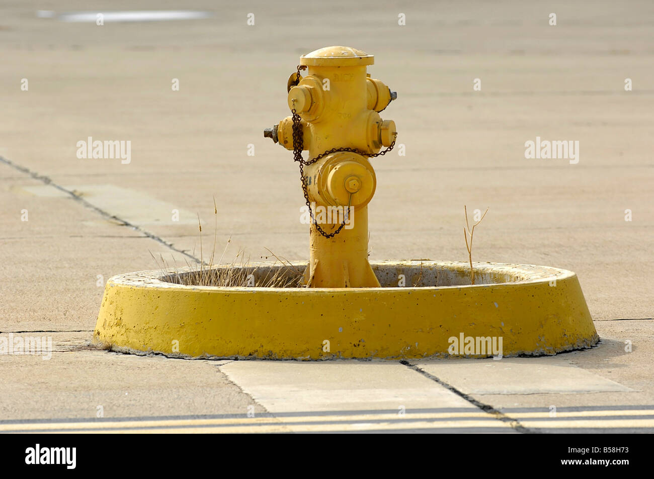 Isolated fire hydrant in the middle of a yellow circle curb Stock Photo ...