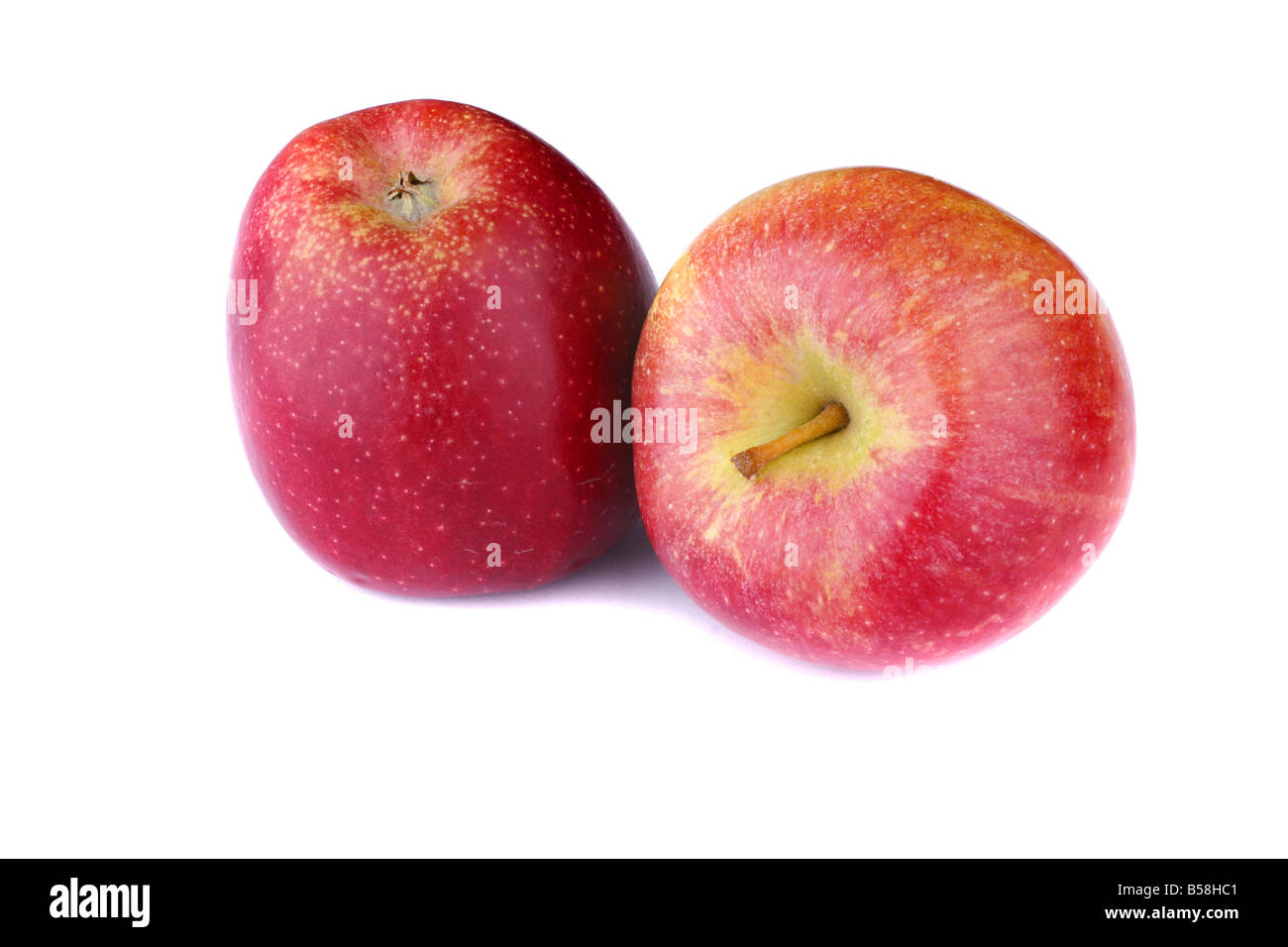 Two red apples on white background Stock Photo - Alamy