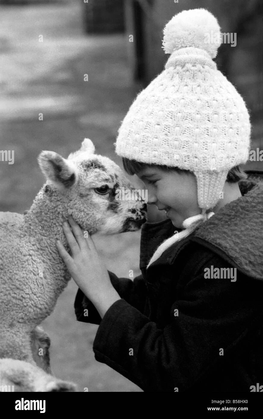 Children/Animals/Cute. Lamb and Child. December 1976 76-07533 Stock ...