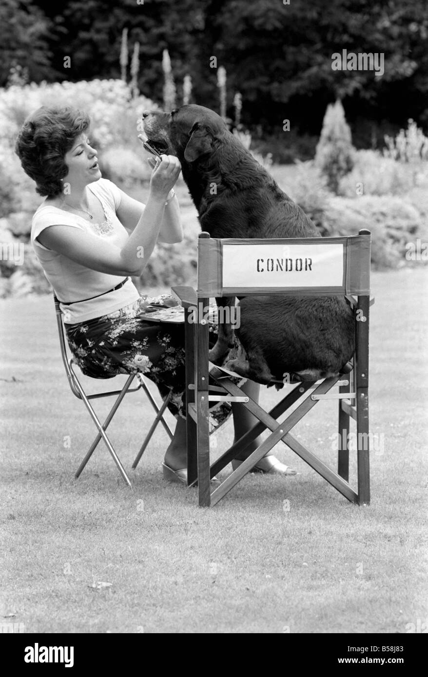 Entertainment: Film: The set for the new thriller movie 'The ...