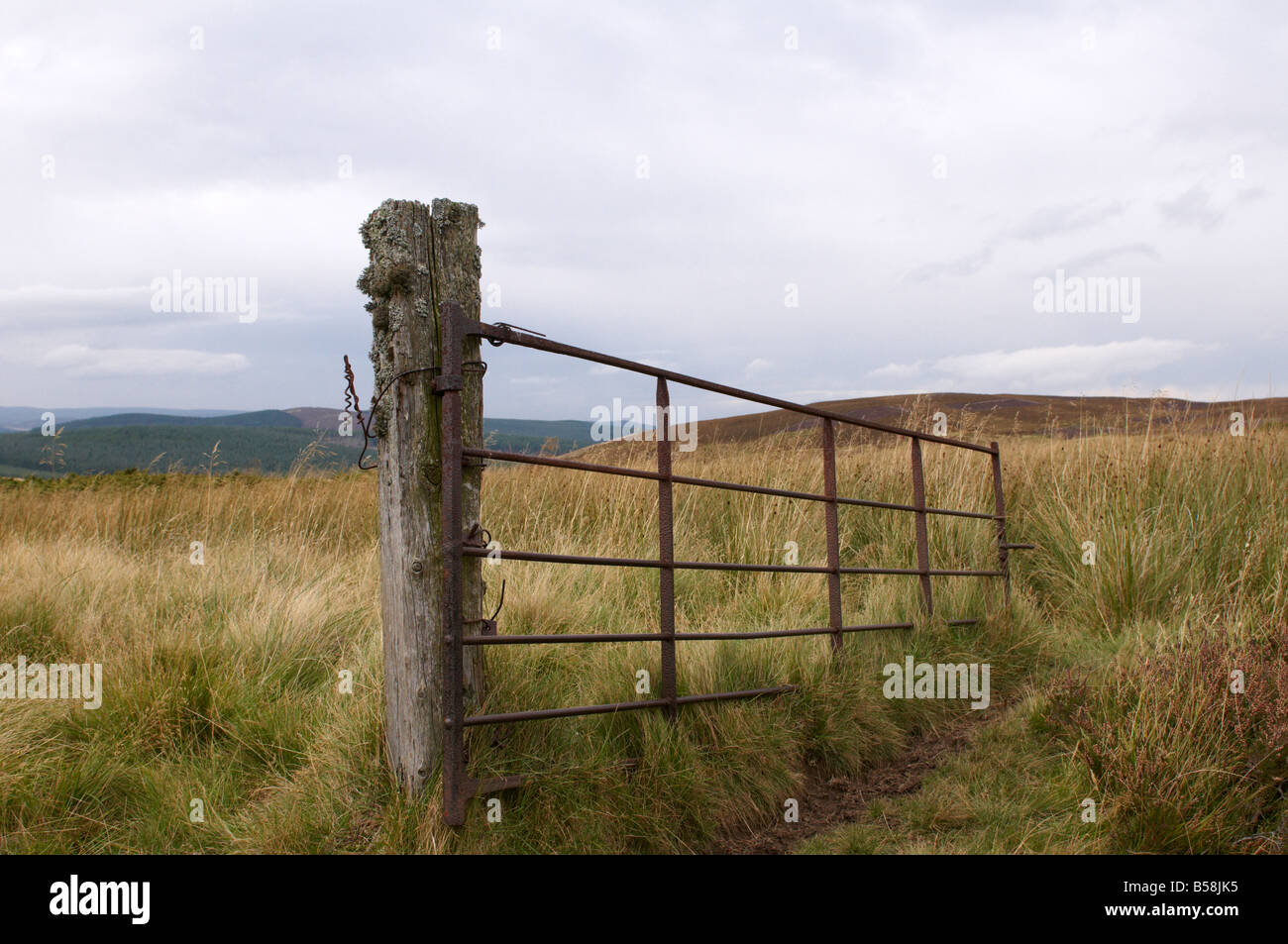 Morven scotland hi-res stock photography and images - Alamy