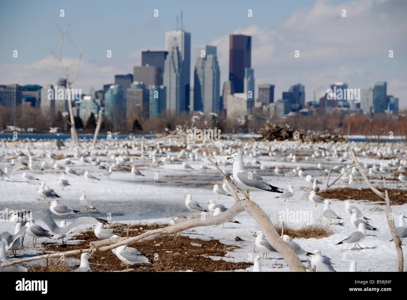 Tommy thompson park hi-res stock photography and images - Alamy