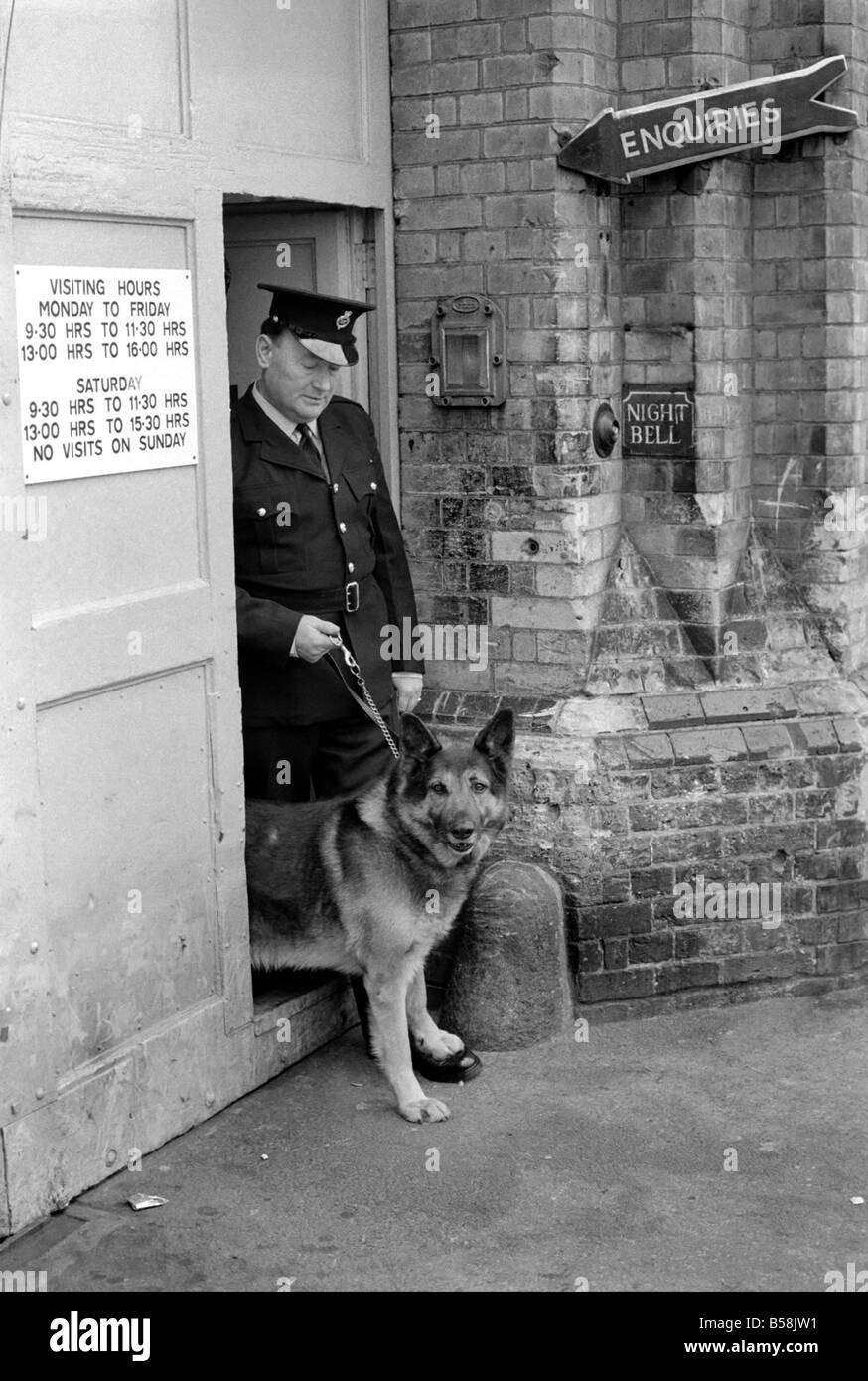 Police: Dog major with handler Gerald Ewing. March 1975 75-01234-005 ...