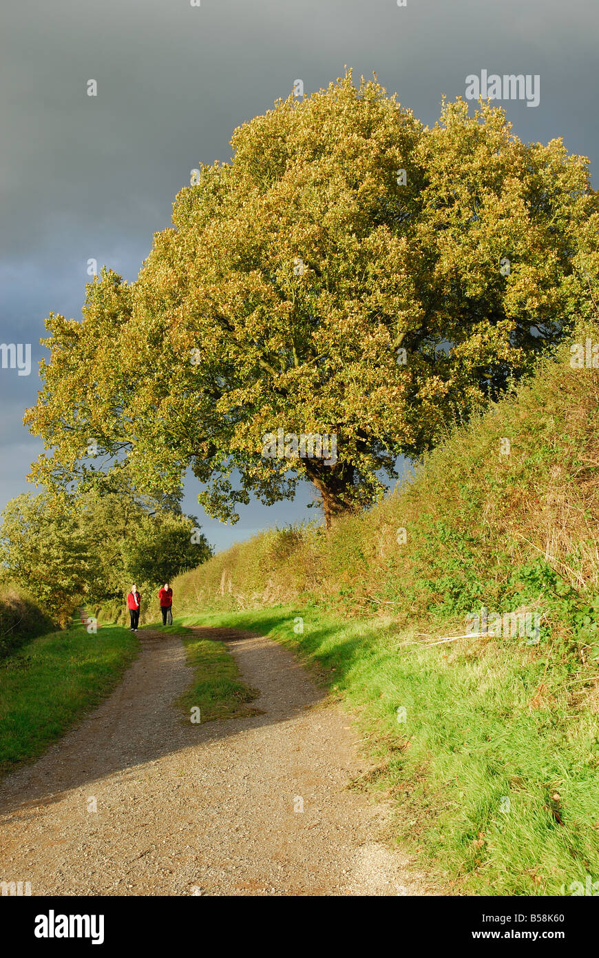 Countryside people walking hi-res stock photography and images - Alamy