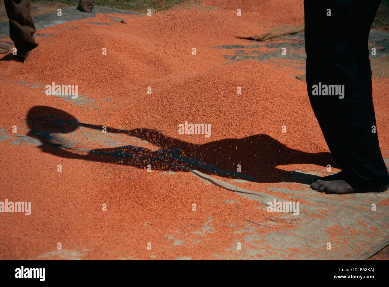 Shadow africa hi-res stock photography and images - Alamy