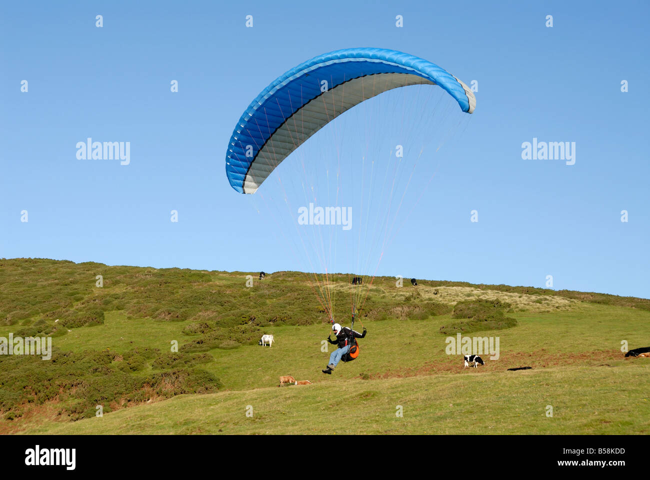 Canopy paraglider above hi-res stock photography and images - Alamy