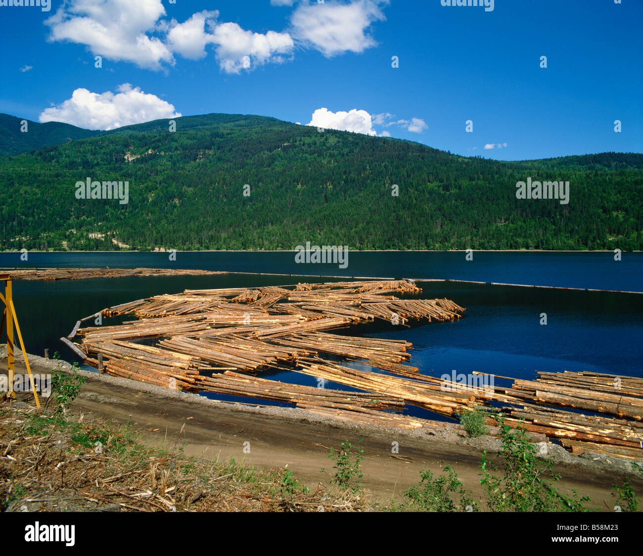 Chase british columbia hi-res stock photography and images - Alamy