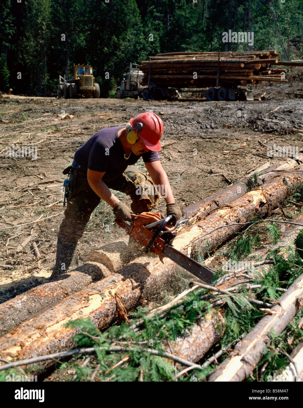 British people in america hi-res stock photography and images - Alamy