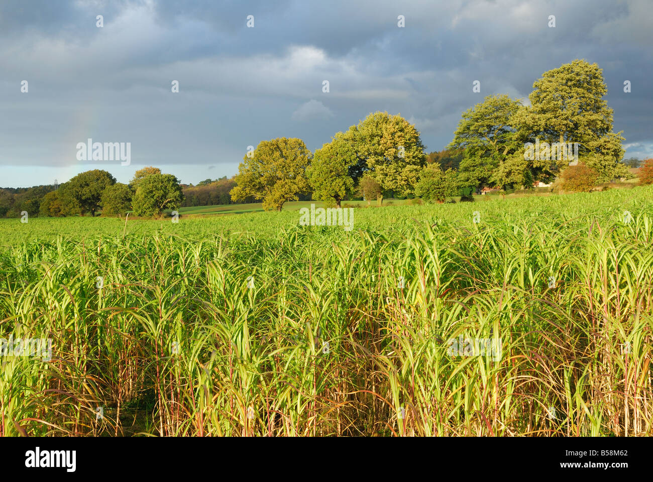 Nottinghamshire Agricultural Landscape Stock Photo - Alamy