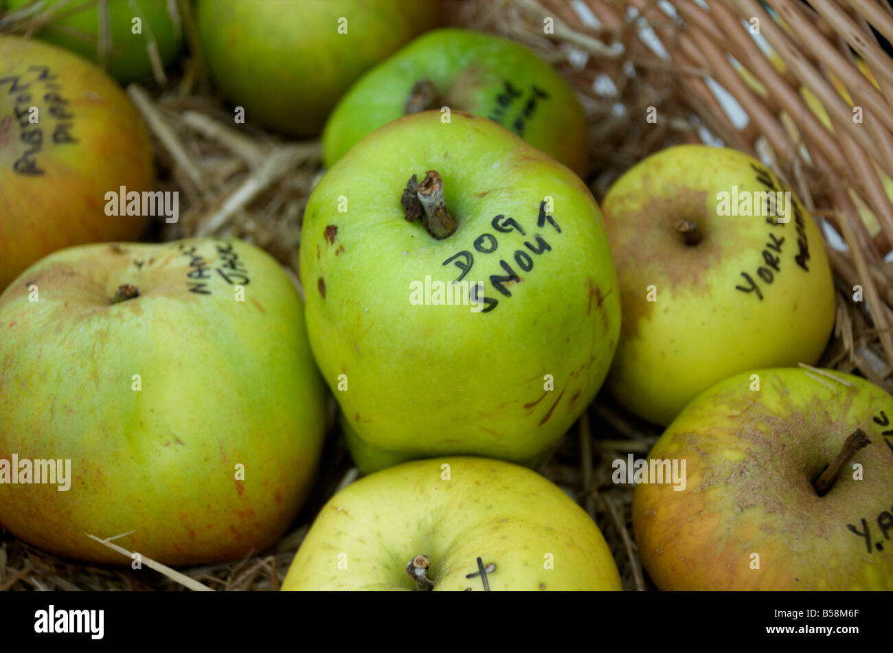 Names on apples hi-res stock photography and images - Alamy