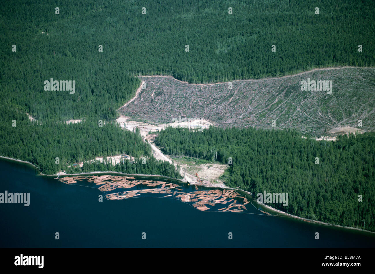 Logged area and surrounding forest from the air British Columbia Canada ...