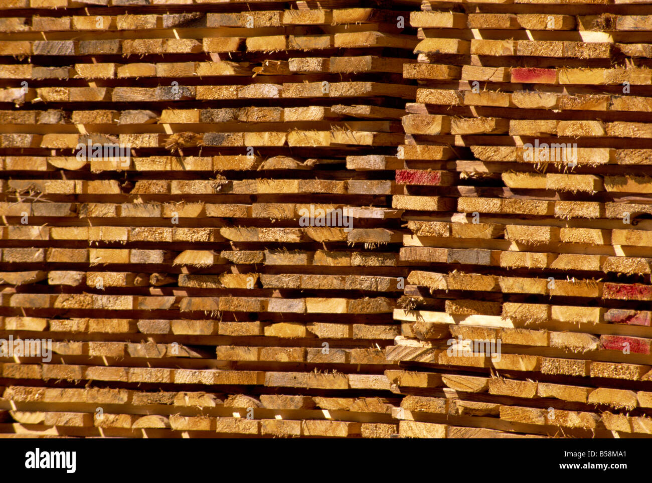 Timber photography hi-res stock photography and images - Alamy