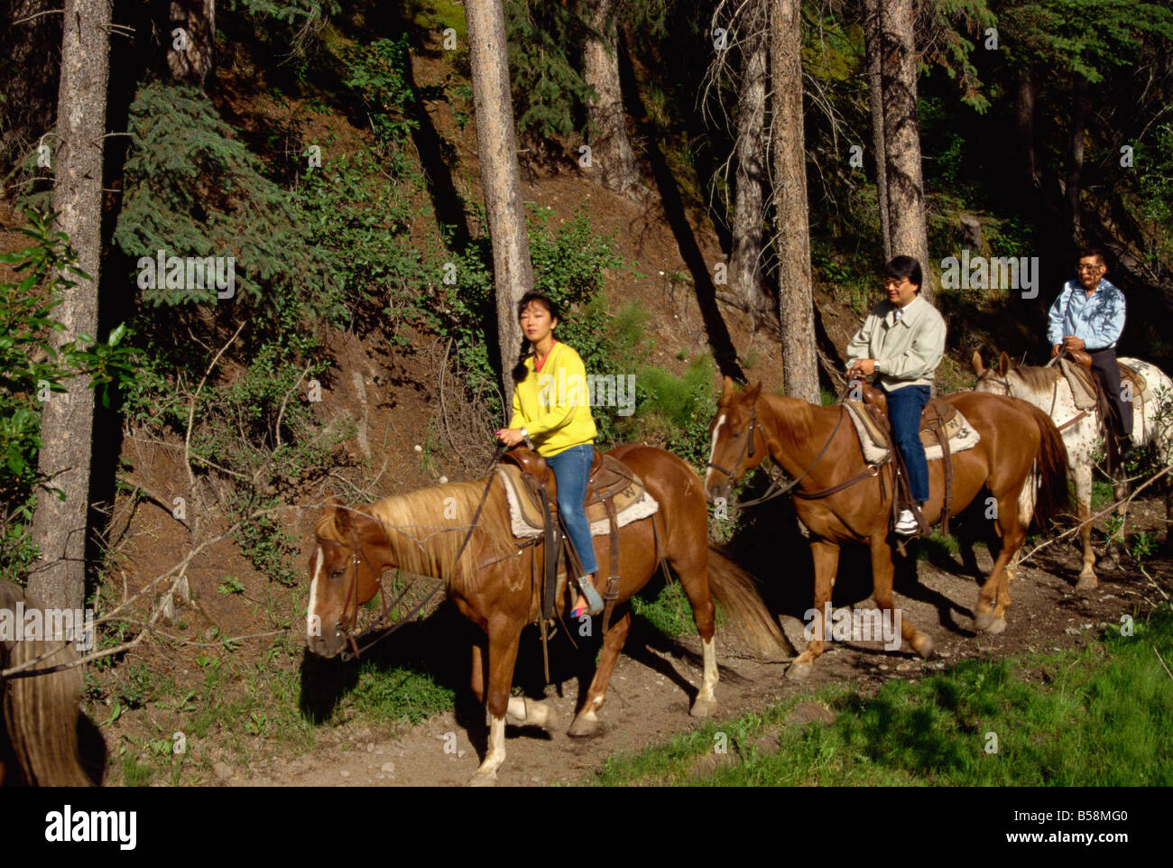 Japanese tourists horse riding Banff National Park UNESCO World ...