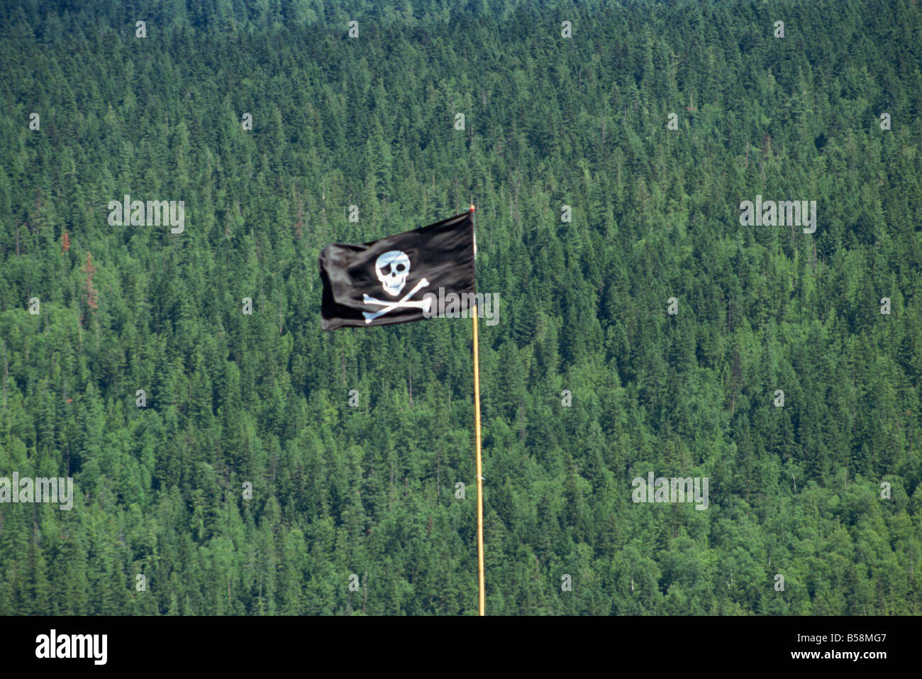 Jolly roger hi-res stock photography and images - Alamy