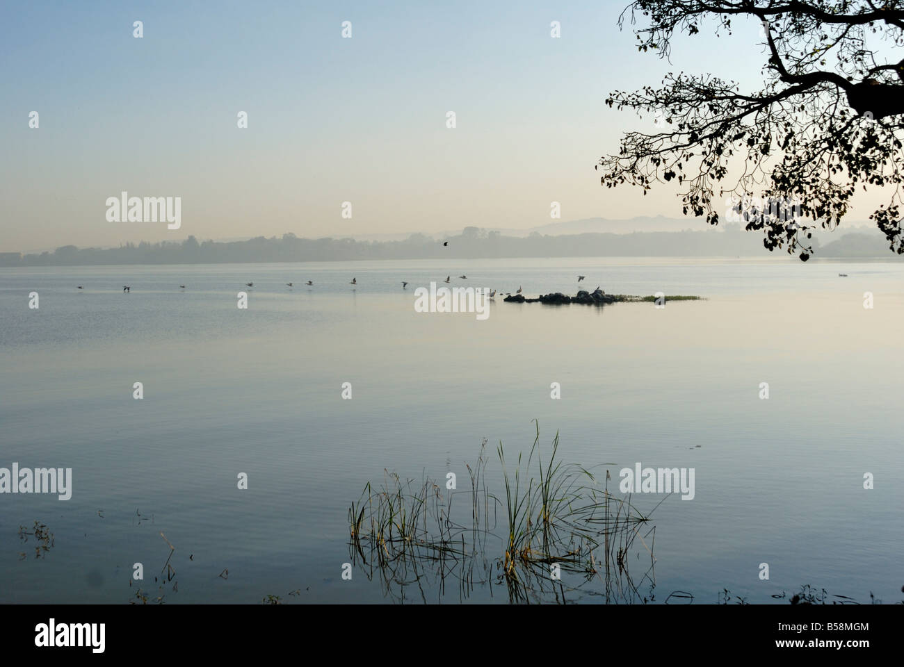 Lake Tana, Ethiopia, Africa Stock Photo - Alamy