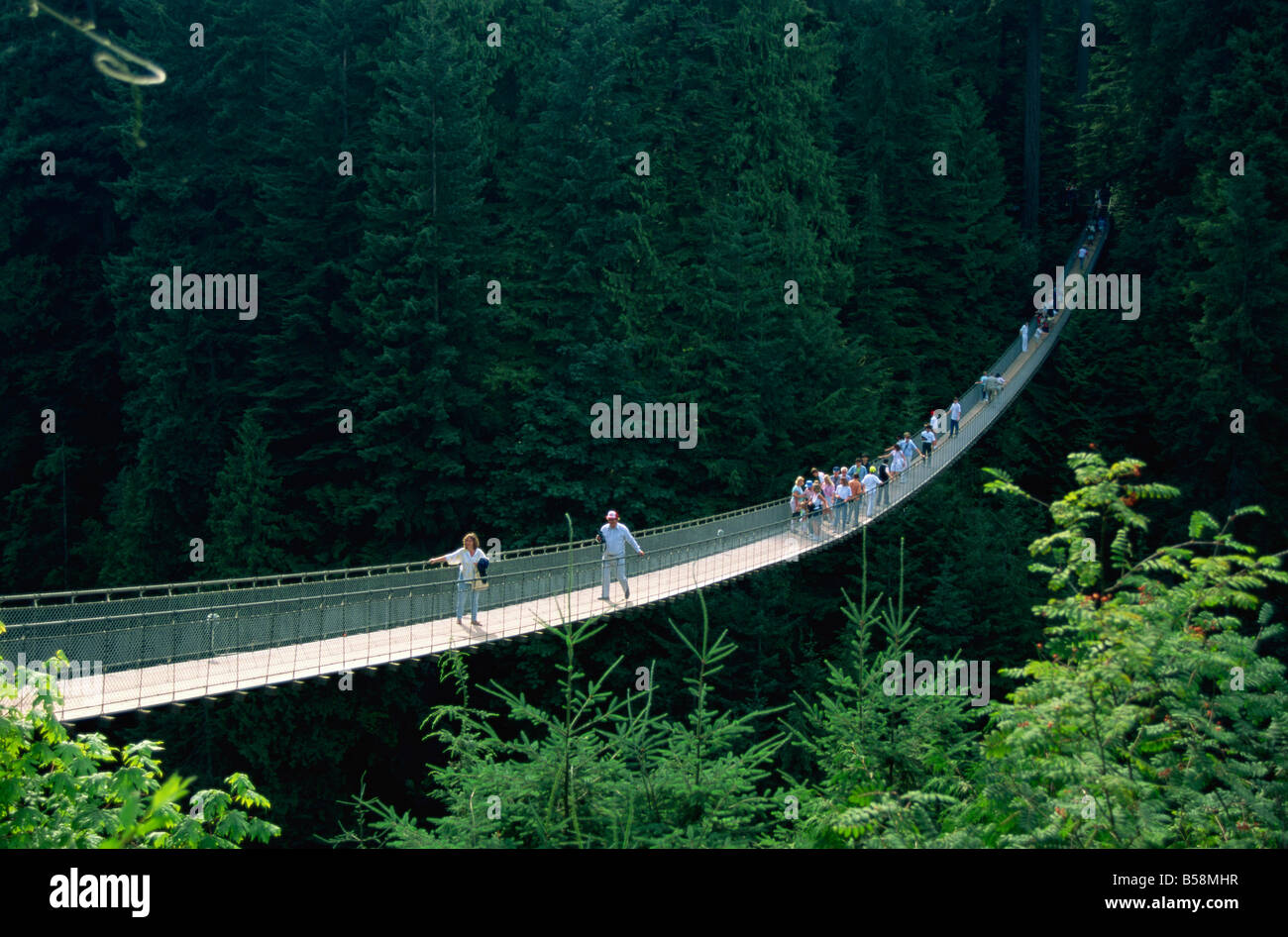 Capilano suspension bridge British Columbia Canada North America Stock ...