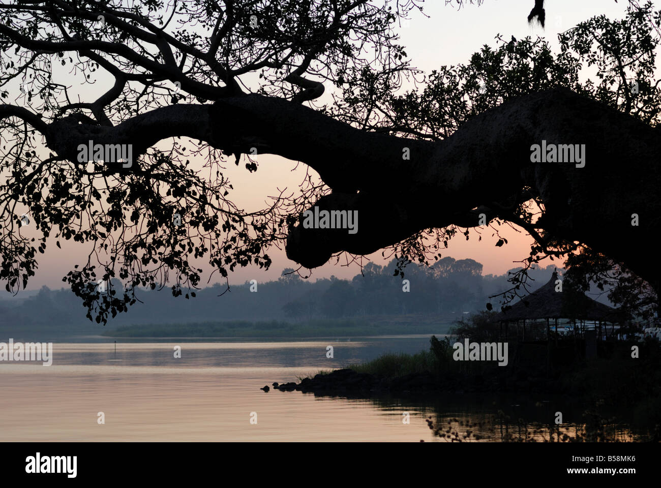 Lake Tana, Ethiopia, Africa Stock Photo - Alamy