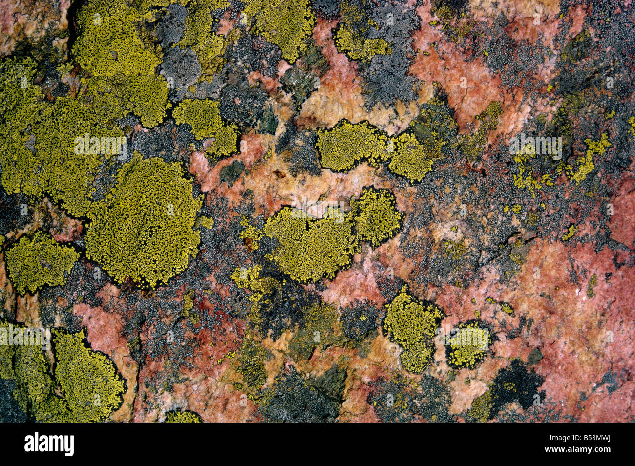 Canada shapes hi-res stock photography and images - Alamy