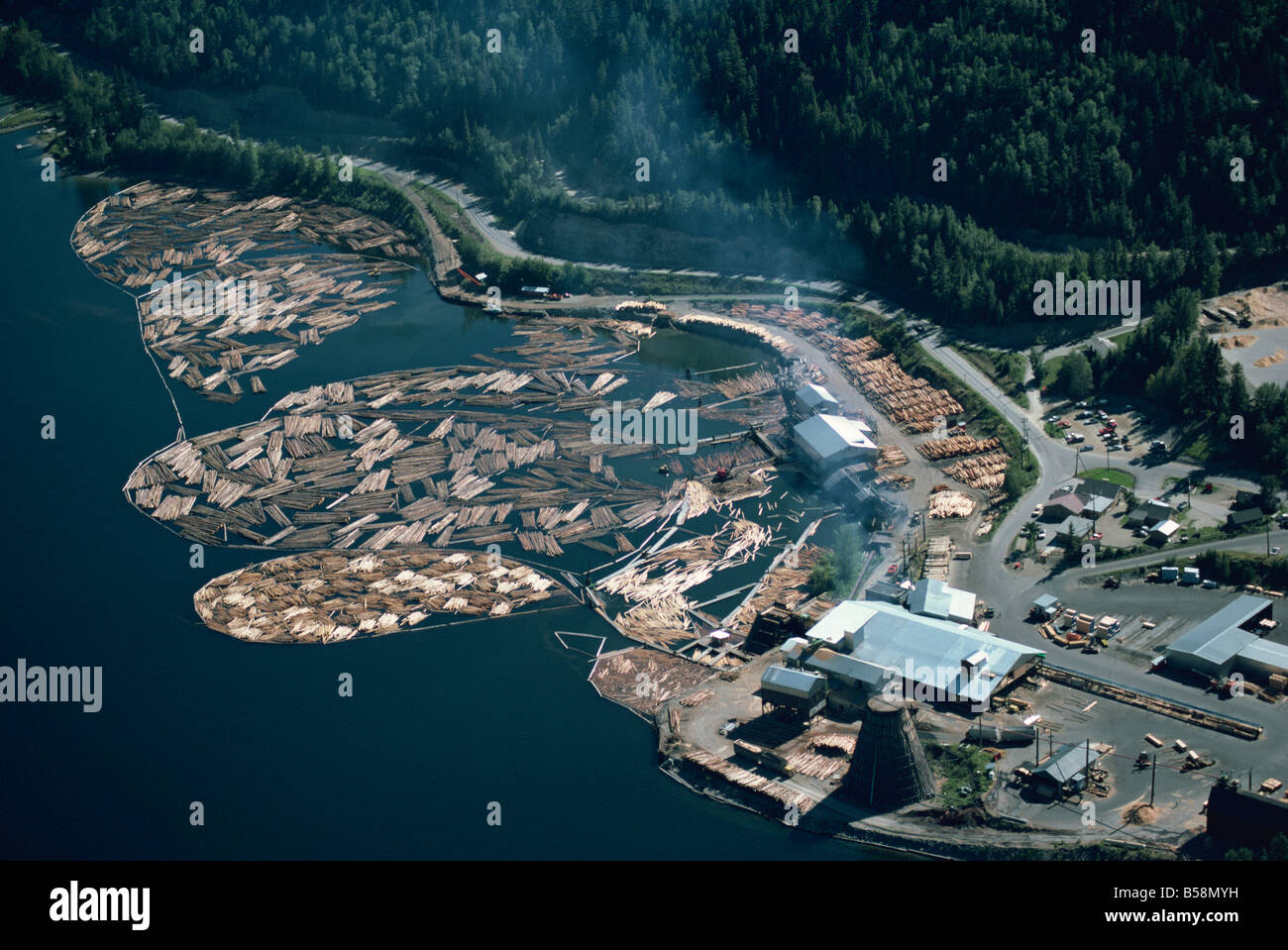 Aerial view of logs in the river beside a saw mill in British Columbia ...