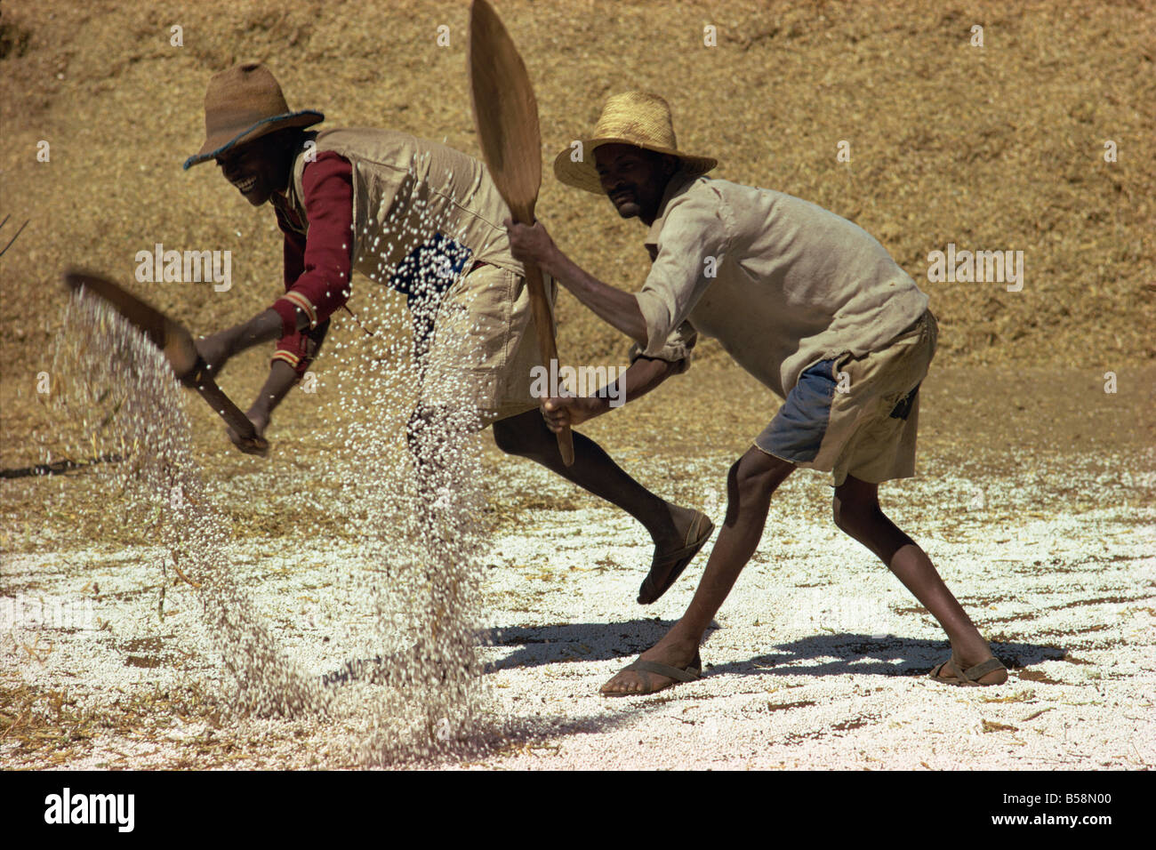 Winnowing africa hi-res stock photography and images - Alamy