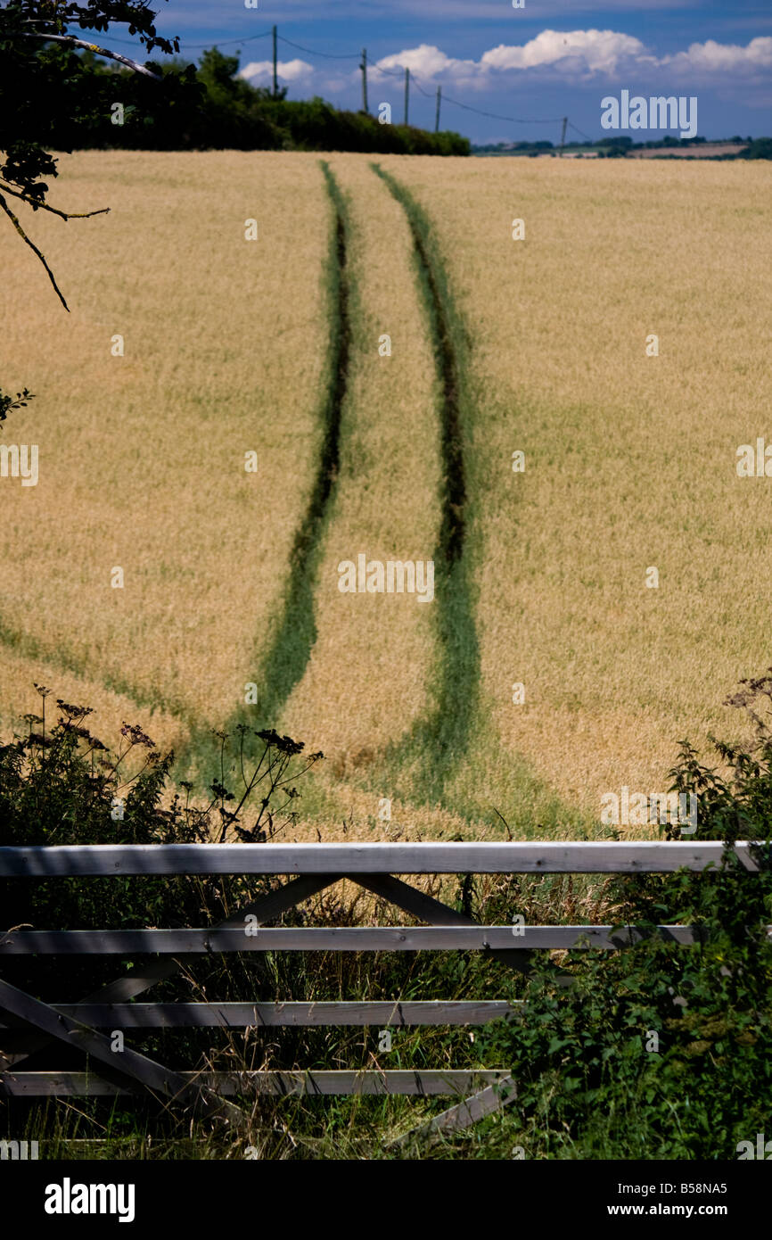 Tracks across the field hi-res stock photography and images - Alamy