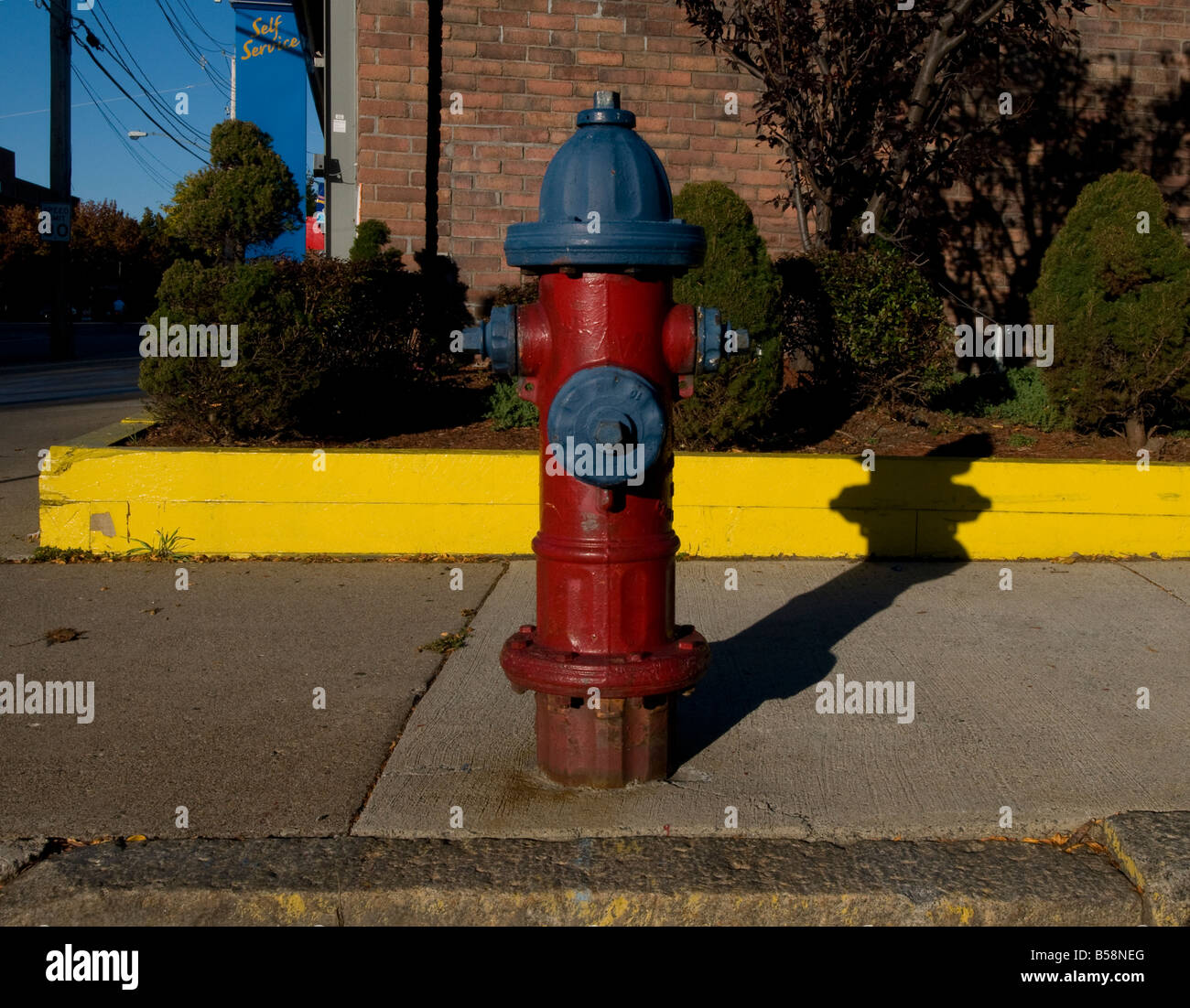 Colorful fire hydrant Stock Photo - Alamy