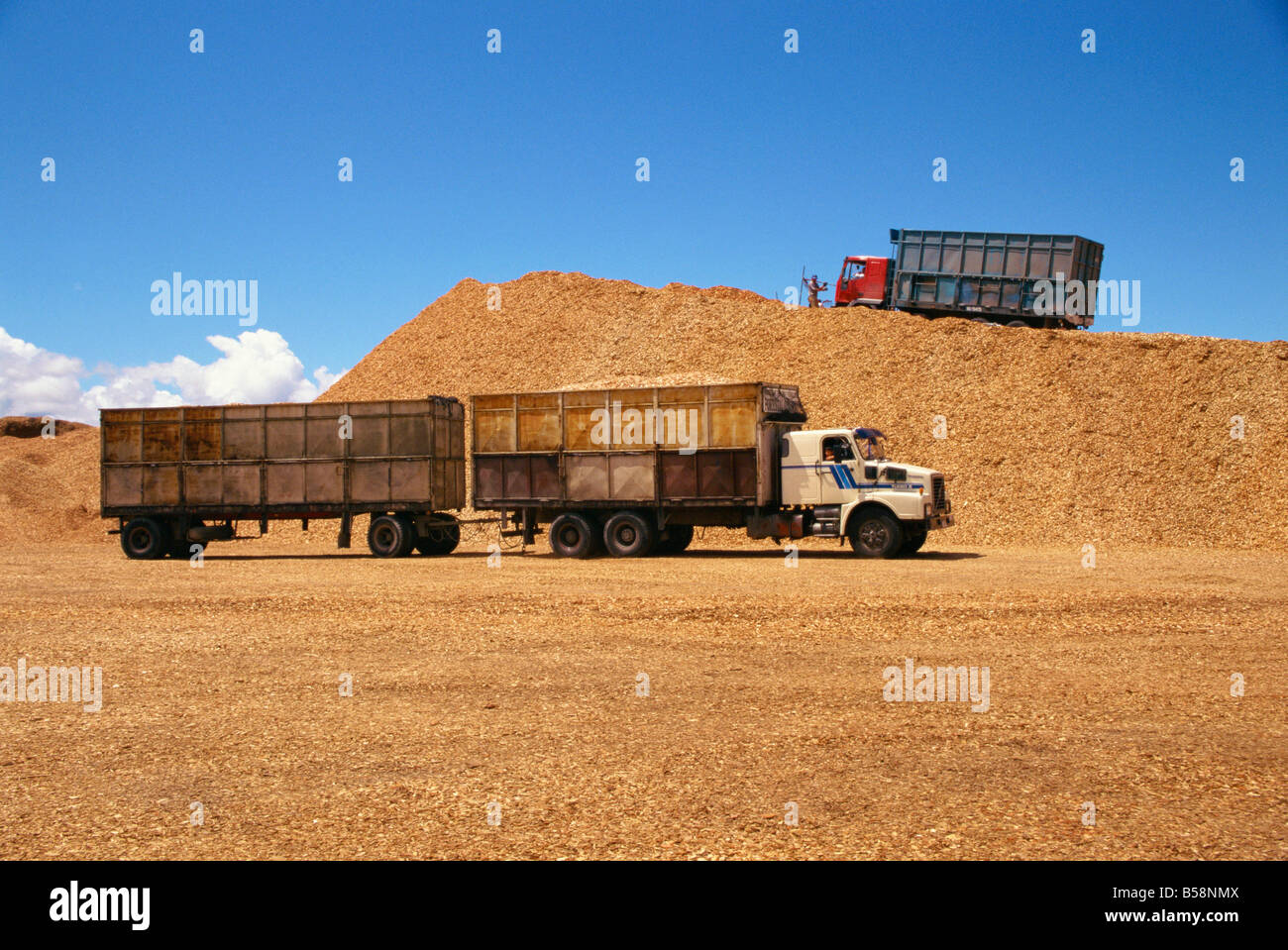 Trucks and trailers at the wood chip stocks at the port awaiting export ...