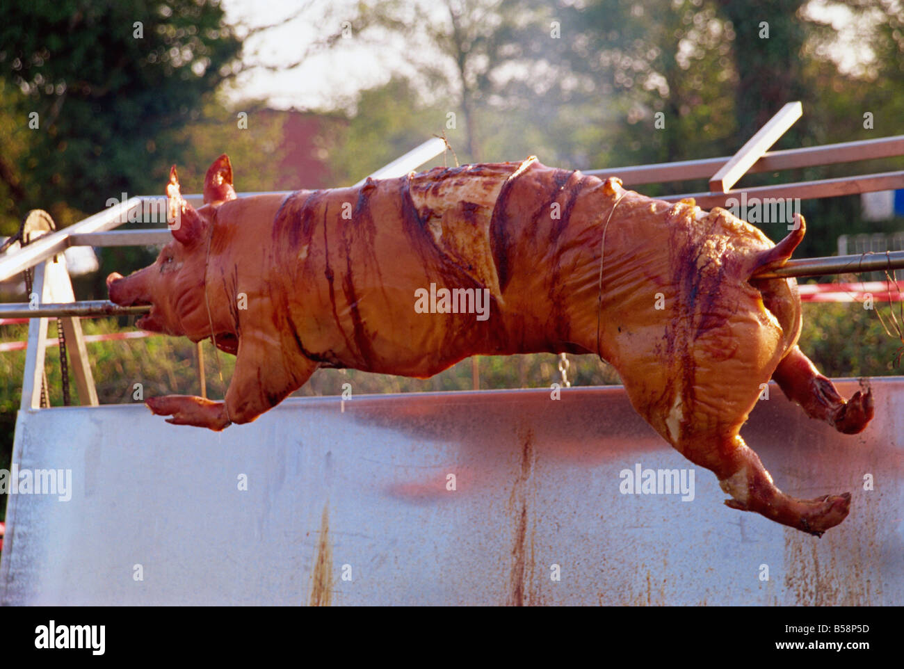 Dead roast hi-res stock photography and images - Alamy