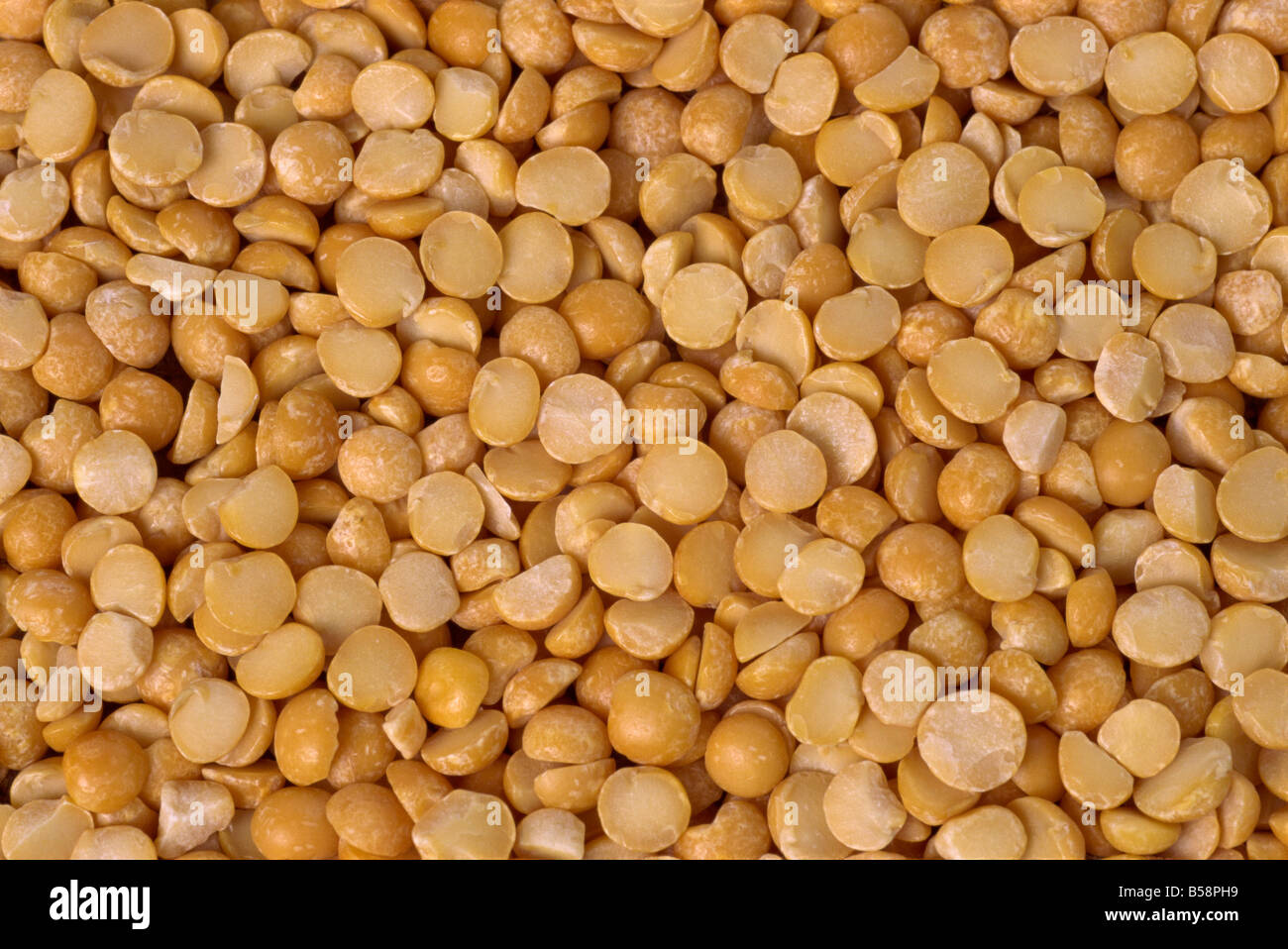 H black and hi-res stock photography and images - Alamy