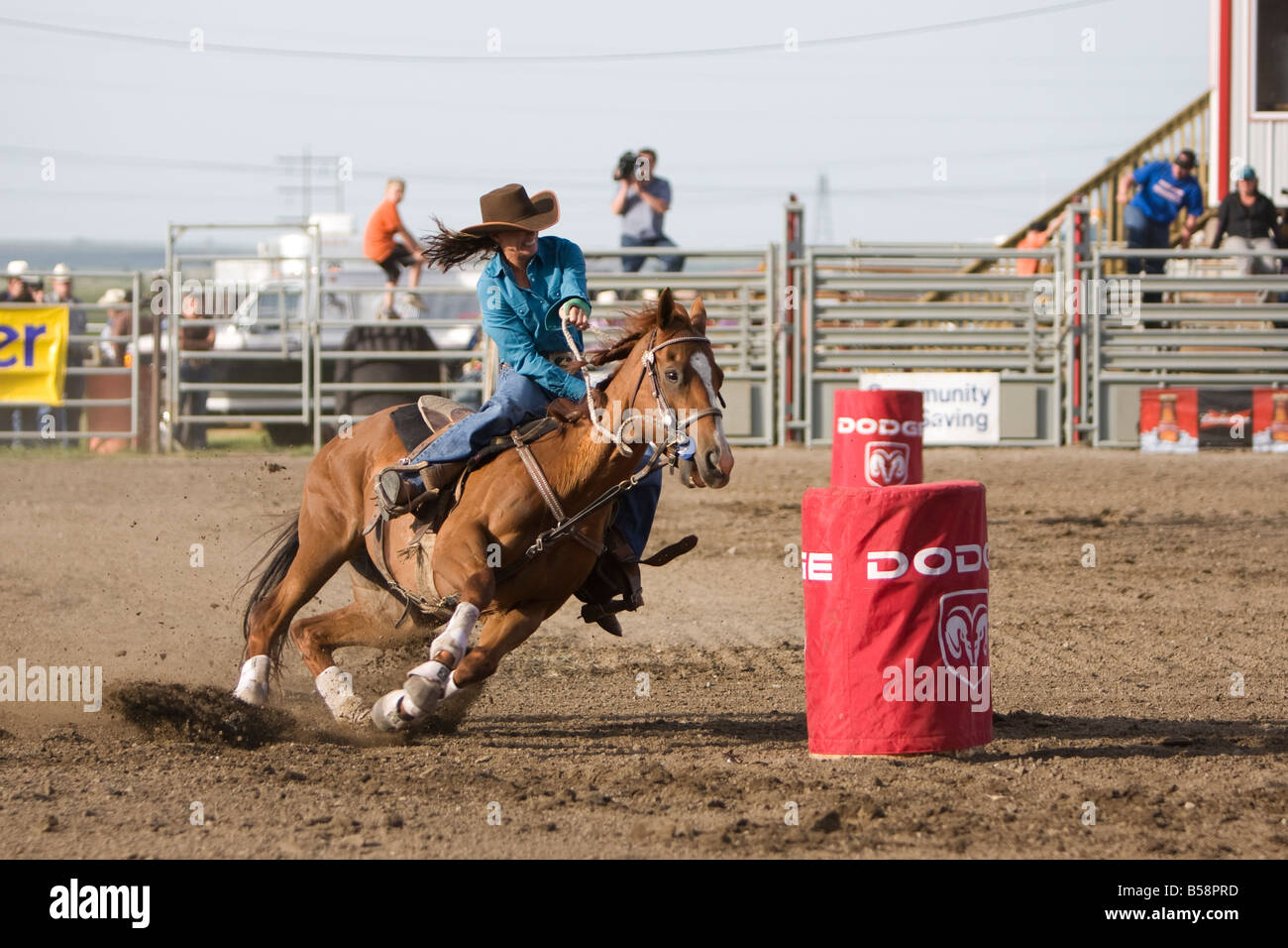 A cowgirl barrel racing around a red barrel on a chestnut horse at a ...