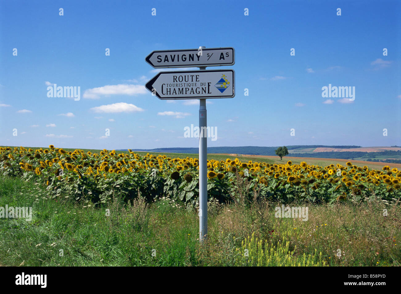 Champagne signs hi-res stock photography and images - Alamy