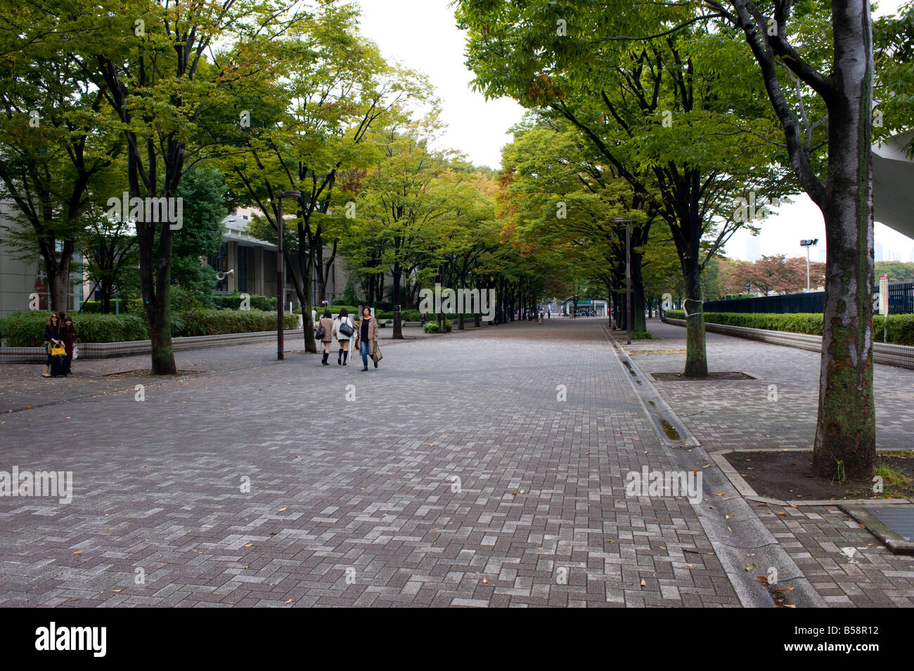 Locals in tokyo hi-res stock photography and images - Alamy