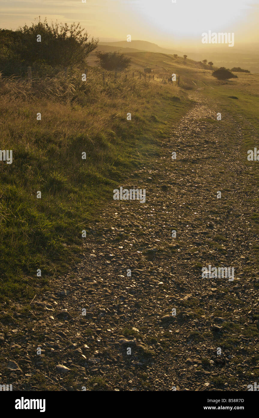 The South Downs Way path at Ditchling Beacon Stock Photo - Alamy