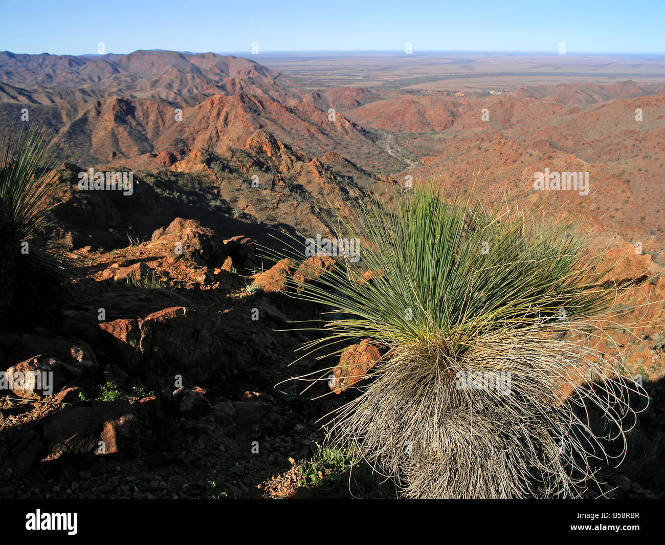 Sillers hi-res stock photography and images - Alamy