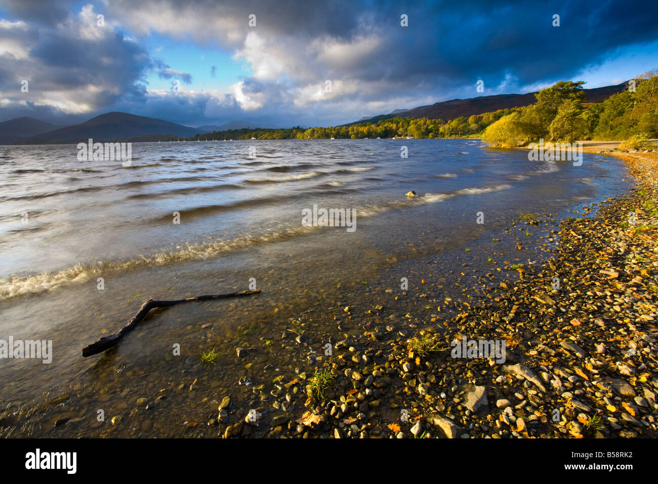 Lakeside woodlands hi-res stock photography and images - Alamy