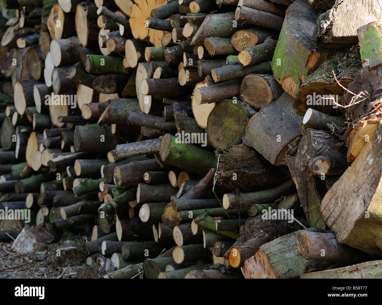 Carl wood hi-res stock photography and images - Alamy