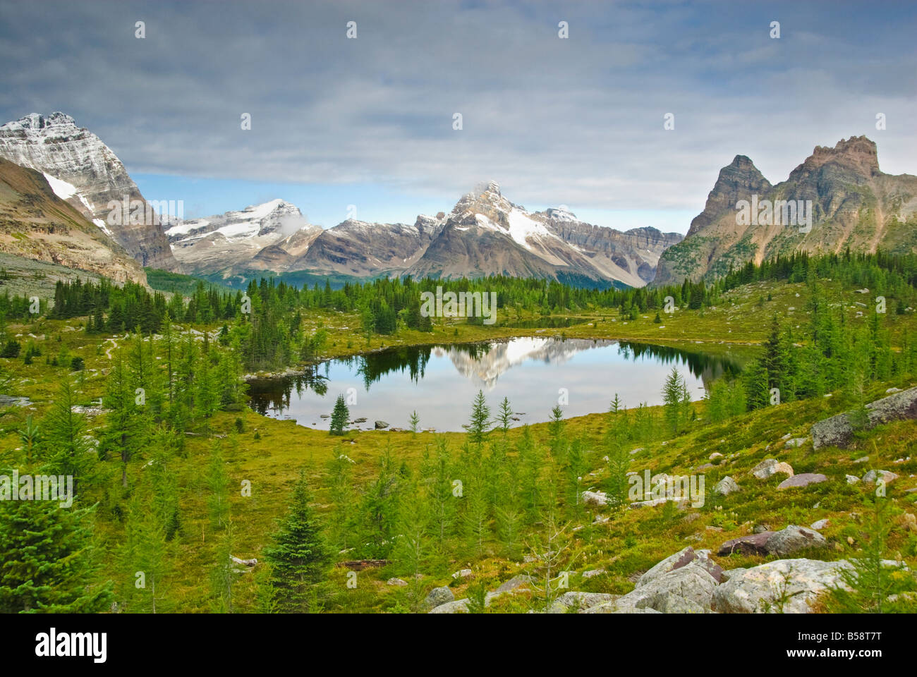 Lake O'hara region, Yoho National Park, British Columbia, Canada Stock ...