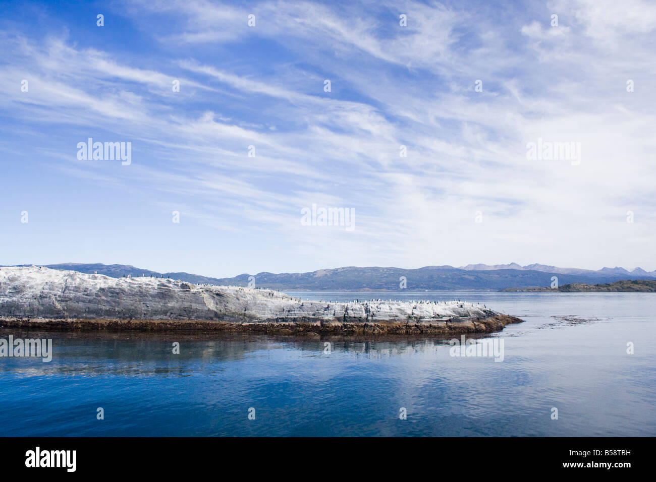 Parque Nacional Patagonia Beagle Channel Island Argentina South America ...