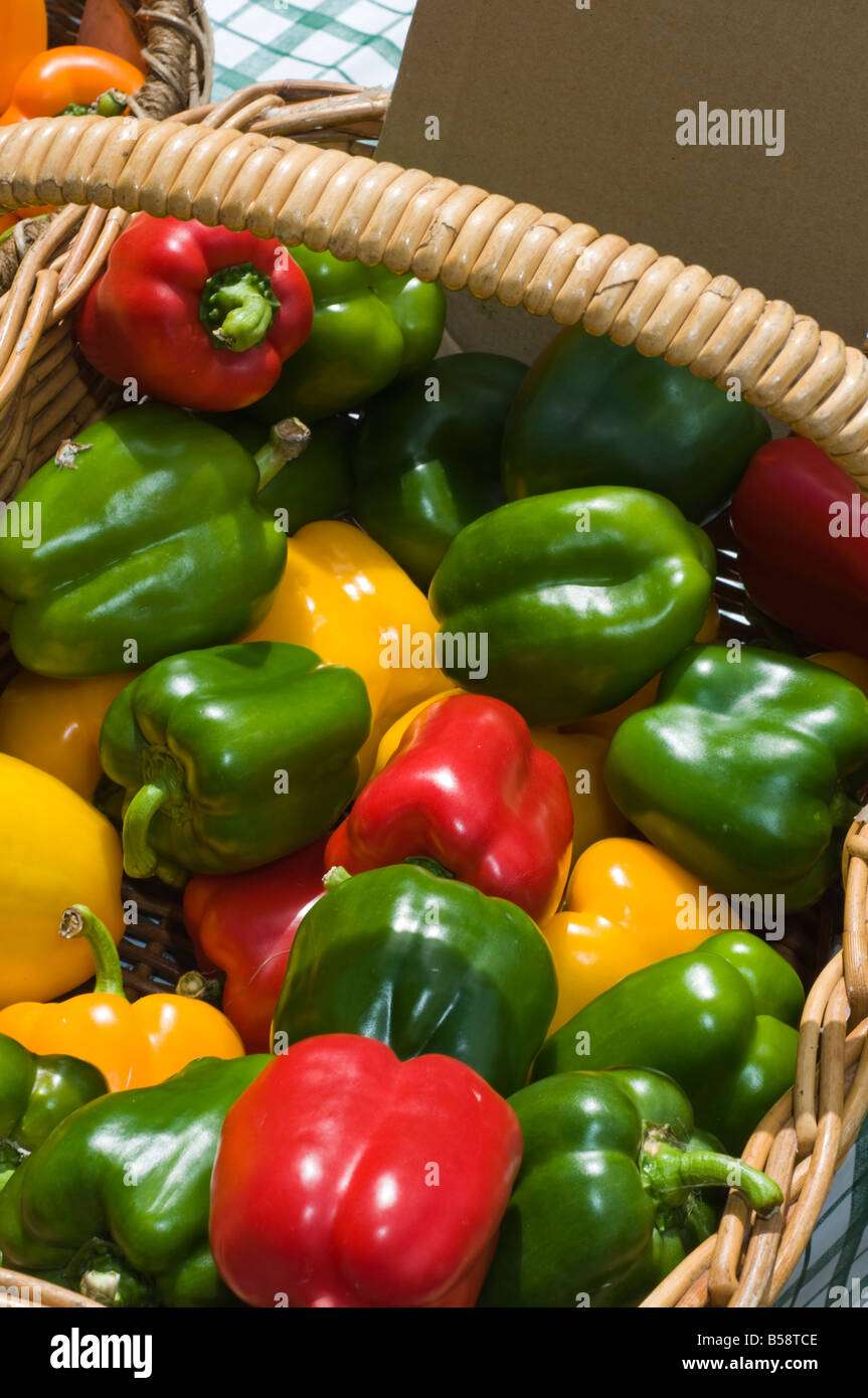 Basket full of peppers Stock Photo - Alamy
