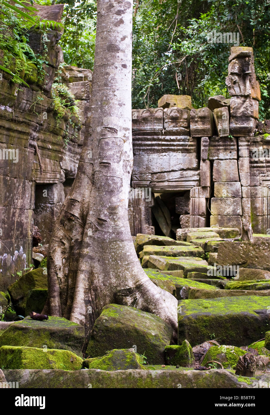 Preah Khan temple, Angkor, Cambodia built by Angkorian king Jayavarman ...
