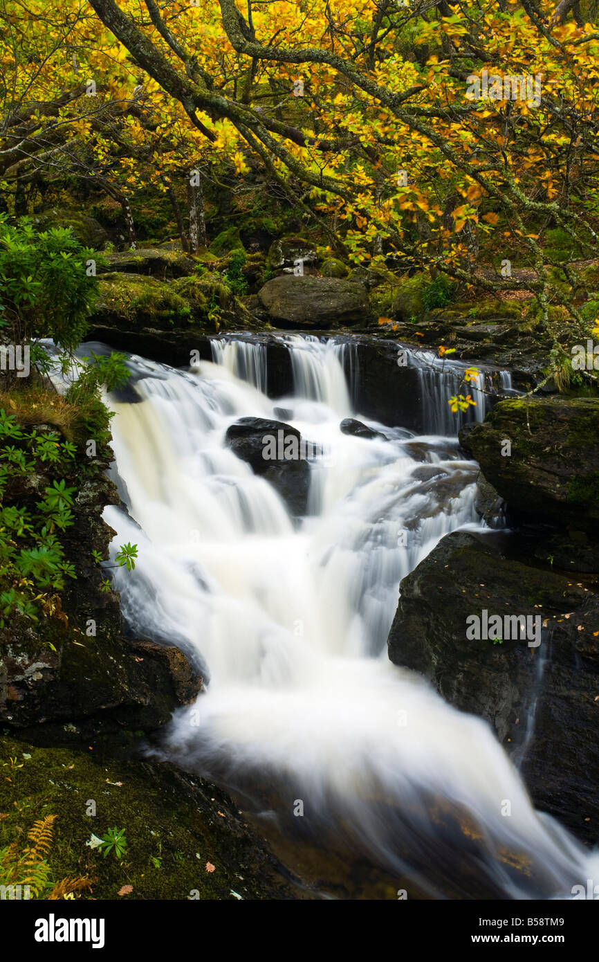 Scotland Stirling Loch Lomond and the Trossachs National Park Arklet ...