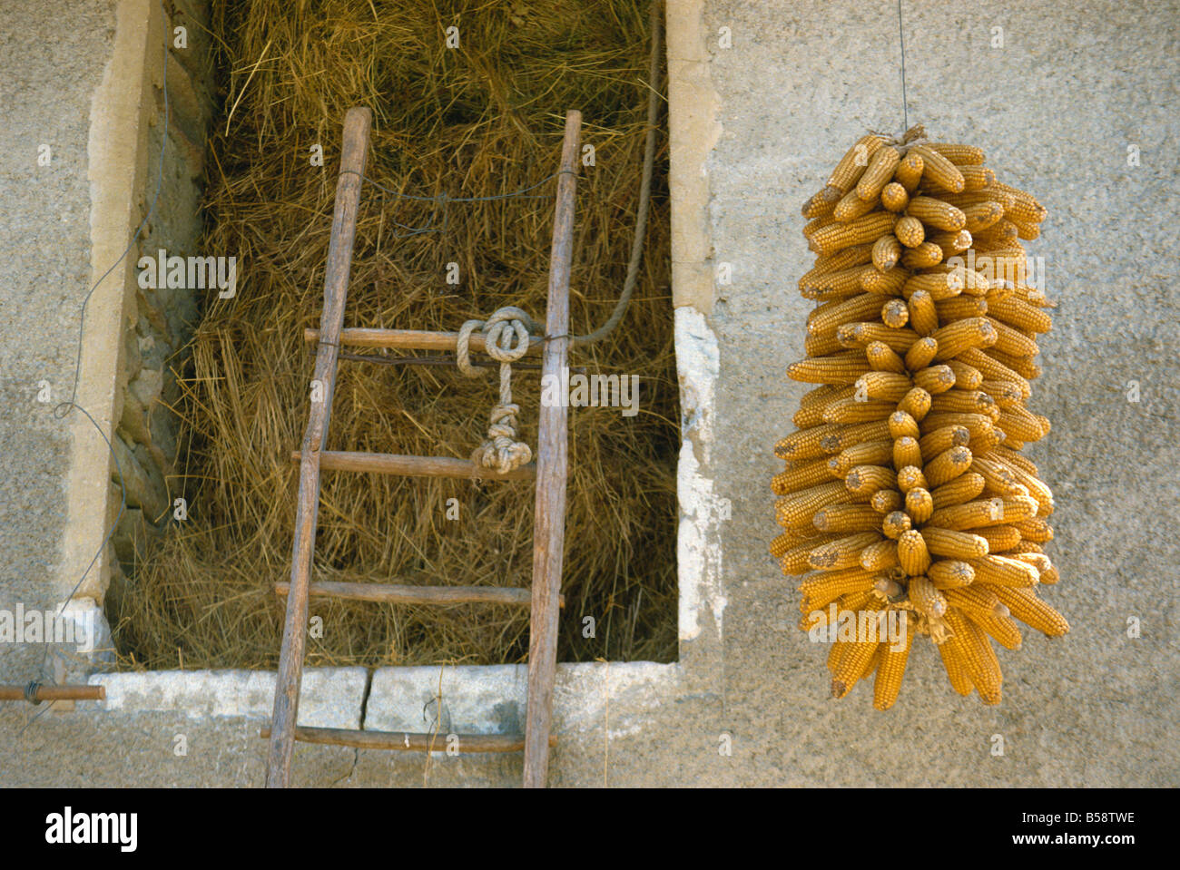 Maize barn hi-res stock photography and images - Alamy