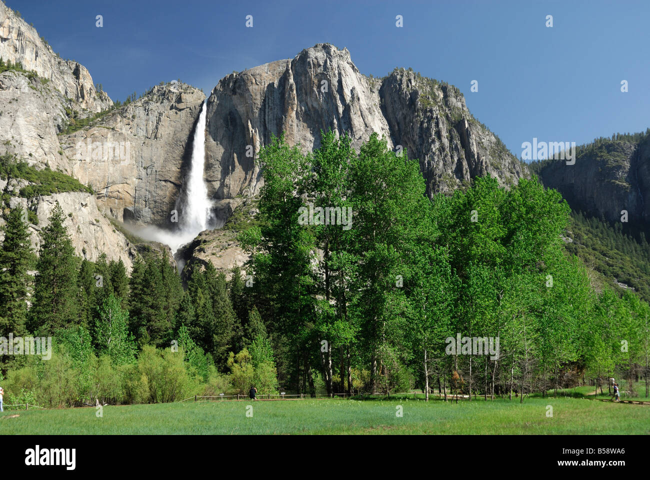 Meadow in yosemite valley hi-res stock photography and images - Alamy