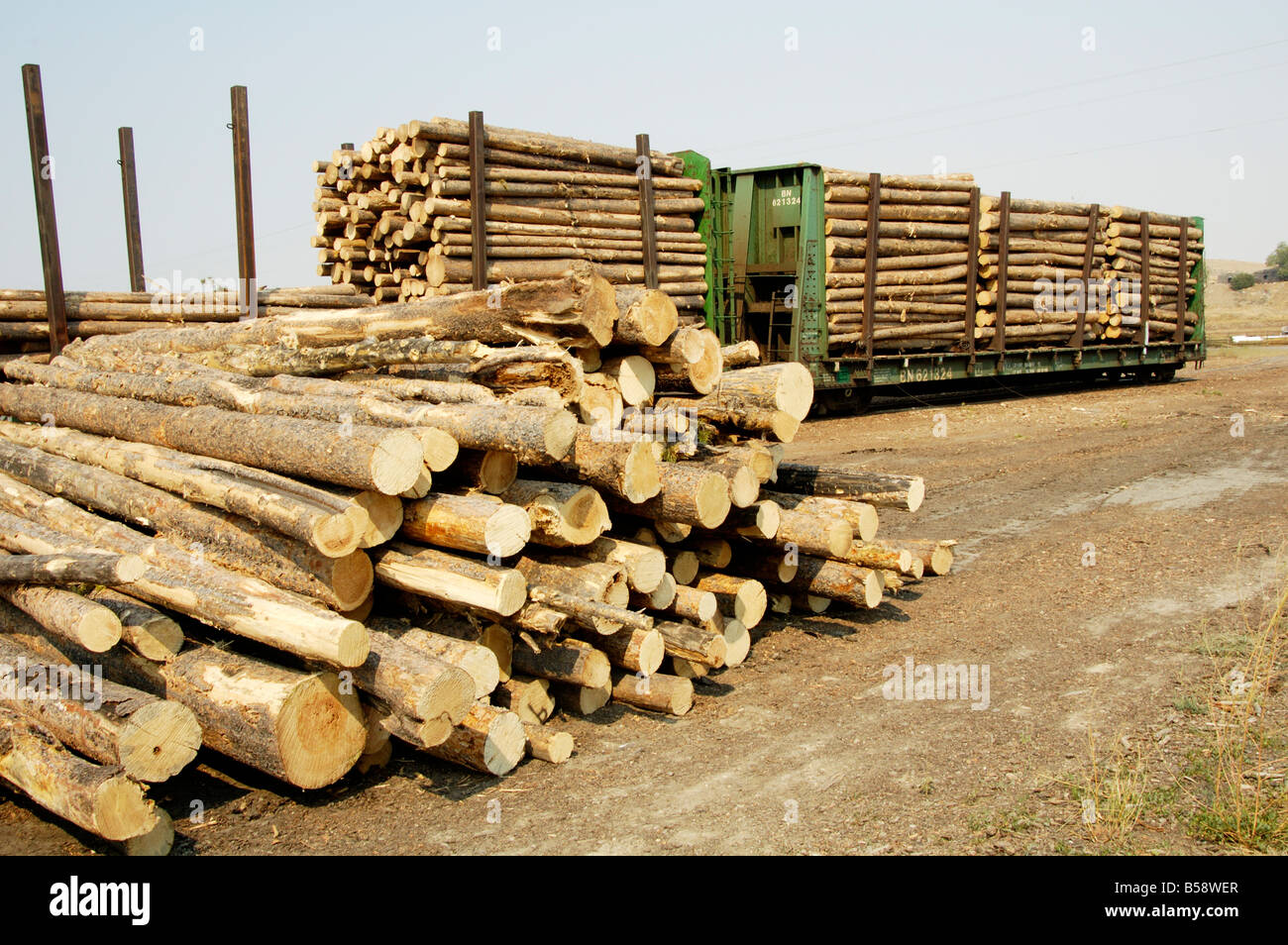 Lumber rail car hi-res stock photography and images - Alamy