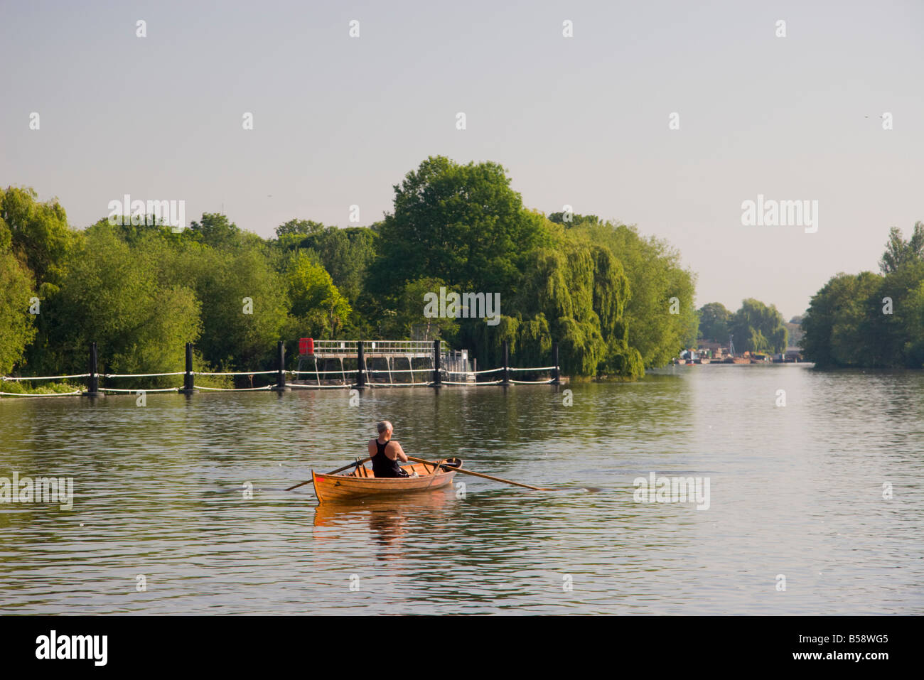 Rowing a traditional wooden skiff on the River Thames near Walton on ...