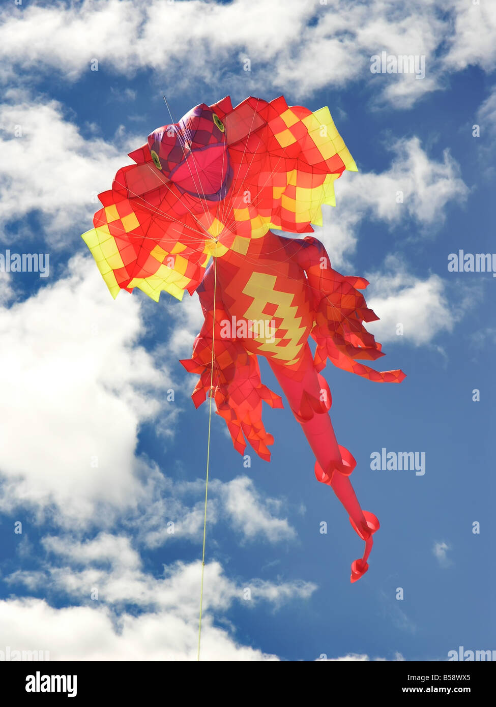 Lizard kite hi-res stock photography and images - Alamy